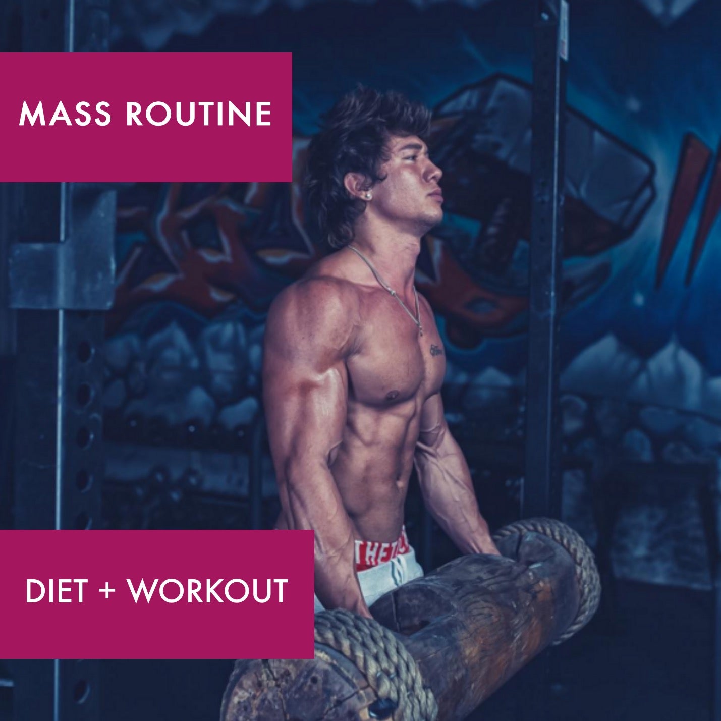 MASS (DIET + WORKOUT) – JON SKYWALKER